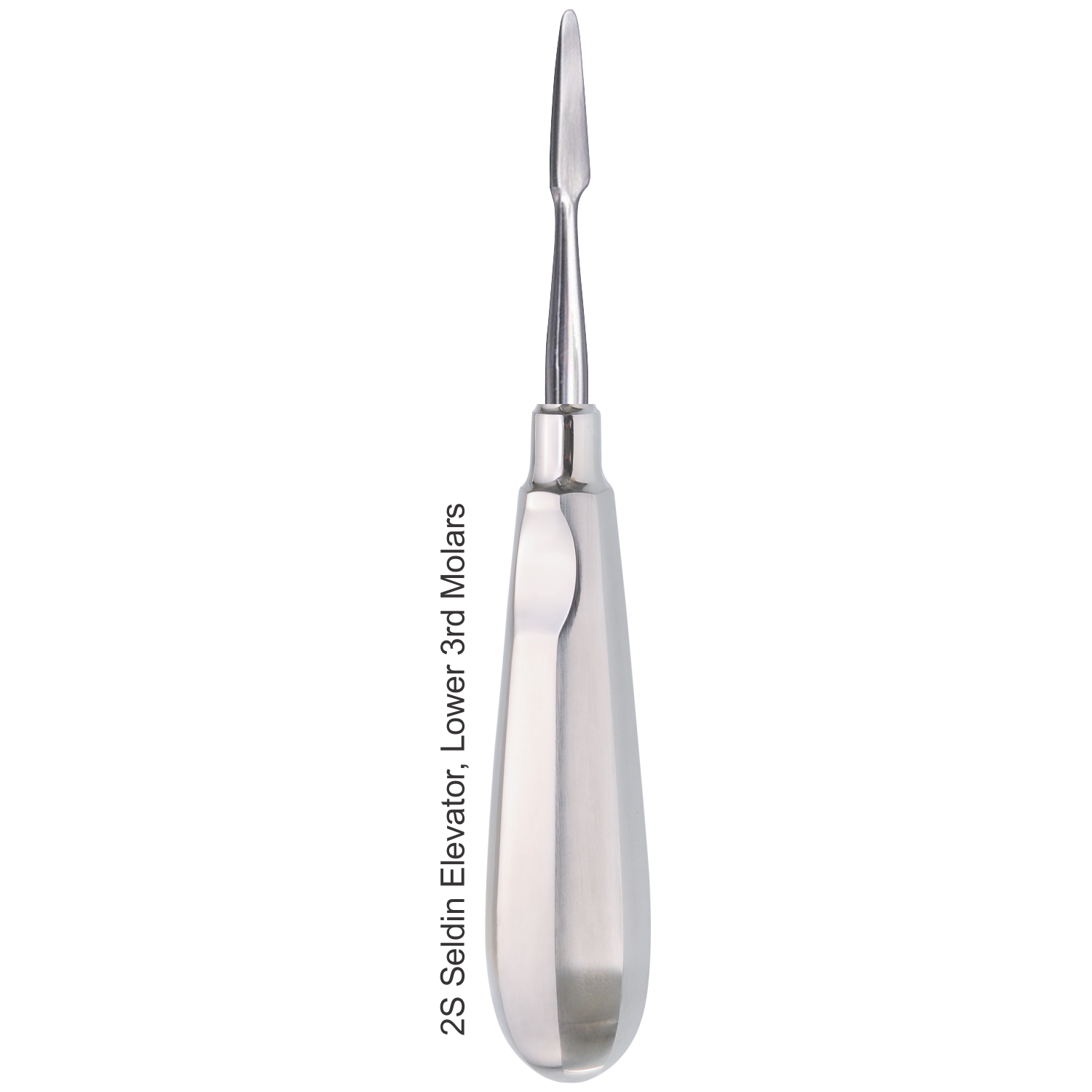 2S Seldin Elevator, untere 3. Molaren – MedToolPro